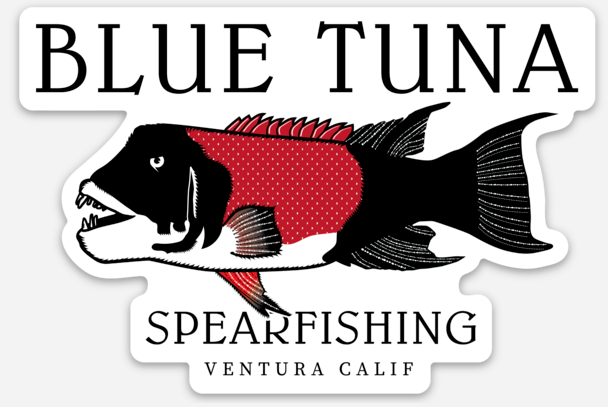 Sheepshead Sticker – Blue Tuna Spearfishing Co