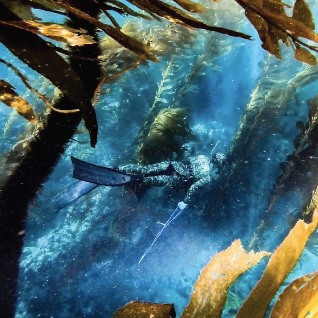 3D Reef Camo Wetsuit – Blue Tuna Spearfishing Co